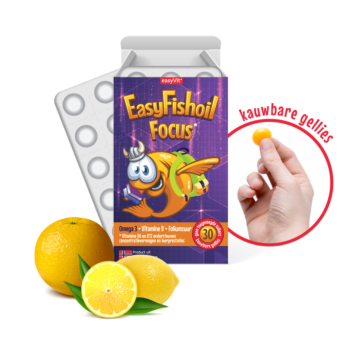 EasyFishoil Focus Vitamine B en Omega 3 voor kinderen – easyVit